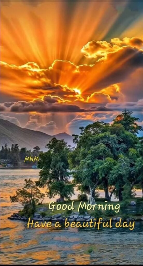 52+ Beautiful Nature Good Morning Images to Start Your Day